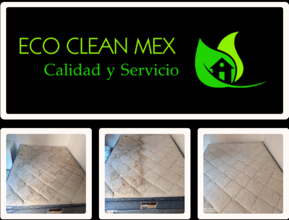 ECO CLEAN | LAVADO DE COLCHONES A DOMICILIO - CDMX